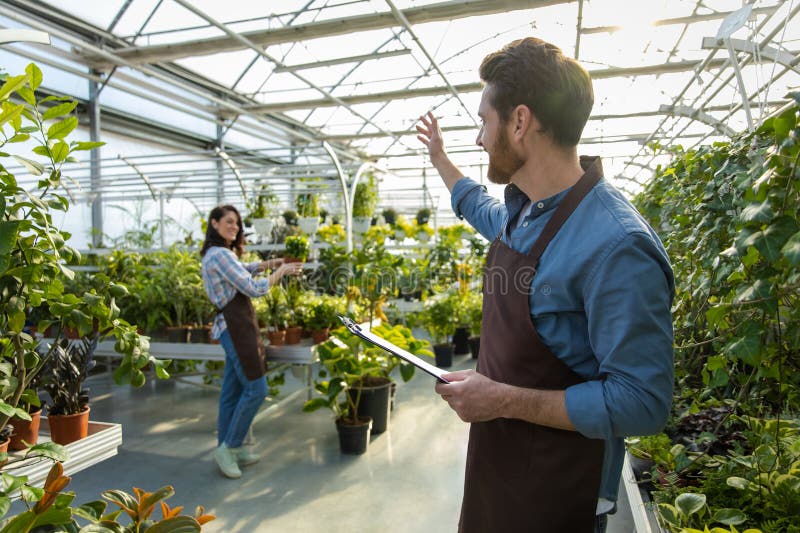 Male Supervisor Working in a Greenhouse and Looking Positive Stock ...