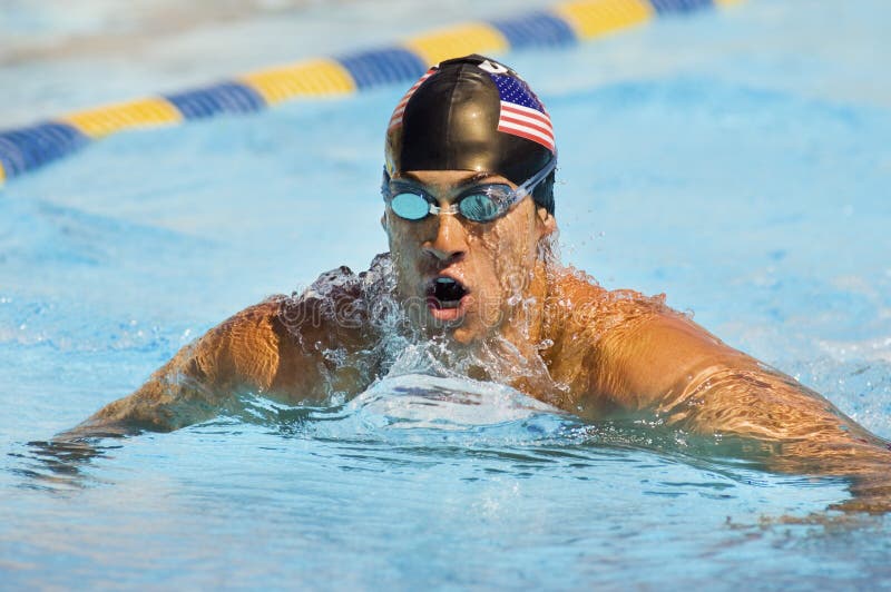 Male Professional Swimmer in Pool Stock Image - Image of profession ...