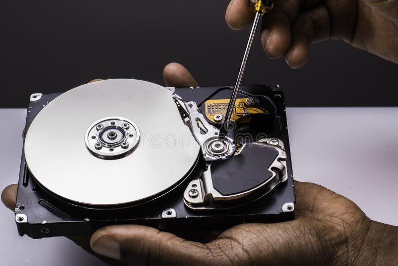 270 Hand Holding Hard Disk Background Stock Photos - Free & Royalty ...