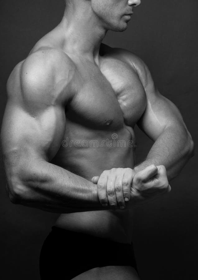 Male torso stock image. Image of macho, toned, bodybuilder - 18554469
