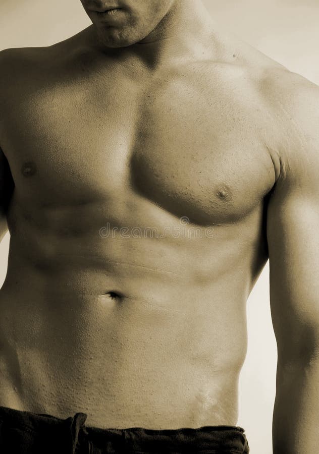 Male torso stock image. Image of sepia, dude, body, thin - 480731