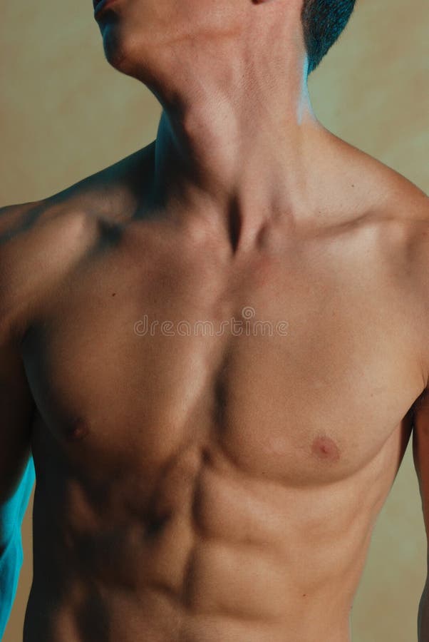 Male torso stock photo. Image of slim, bicep, lean, fitness - 6039488