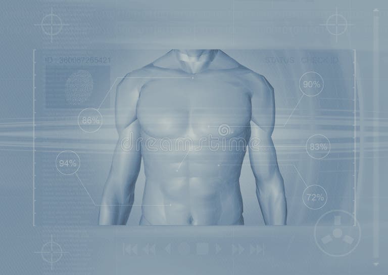 Muscles Torso Anatomy Stock Illustrations – 454 Muscles Torso Anatomy ...