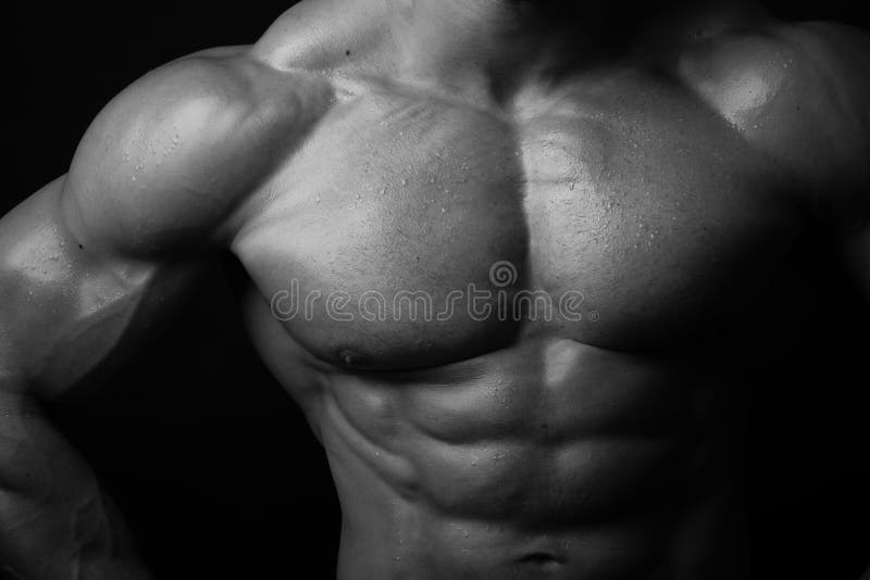 Male torso stock photo. Image of diet, model, abdomen - 238041666