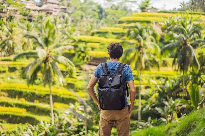 Male Tourist with a Backpack Goes on the Rice Field Stock Photo - Image ...