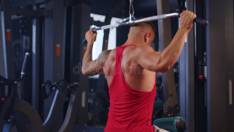 Male Training Back Muscles Doing Pulls Weight Exercise in a Gym Stock ...