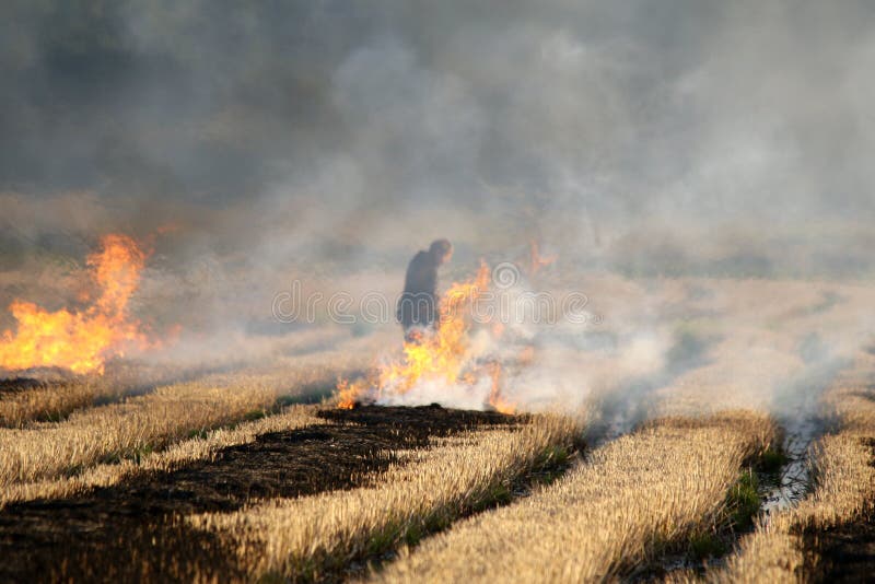 Male Trying To Put Out the Fire Broken Up in the Valley Editorial Image ...