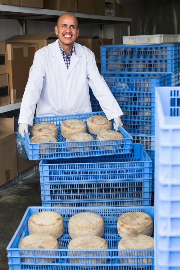 Male Worker at Cheese Factory. Stock Image - Image of standing, process ...