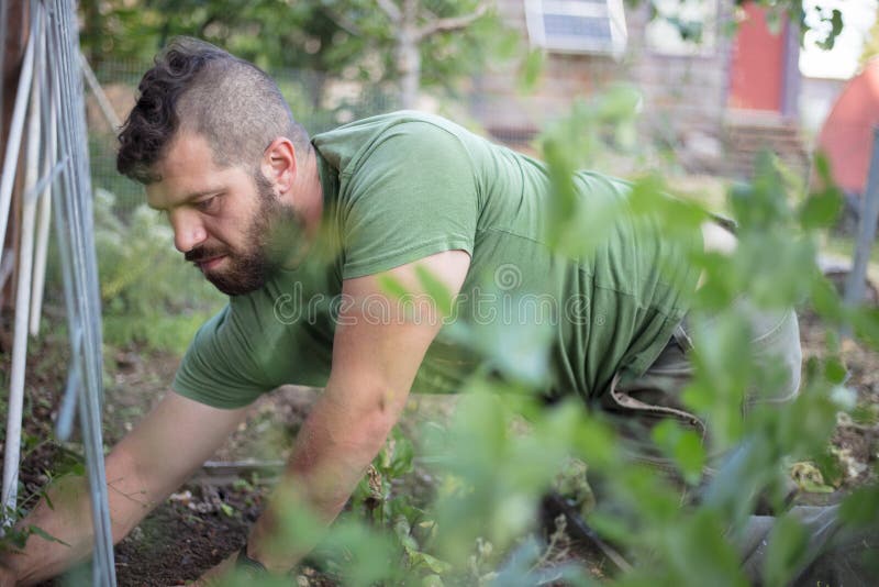 Male worker stock photo. Image of lawn, farming, hiking - 190586852
