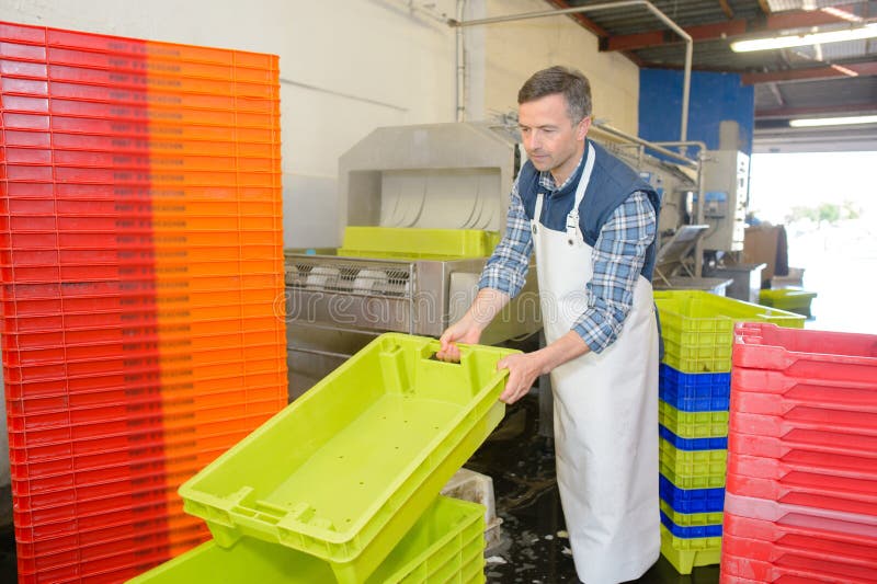 Male worker filing crates stock image. Image of produce - 326321049