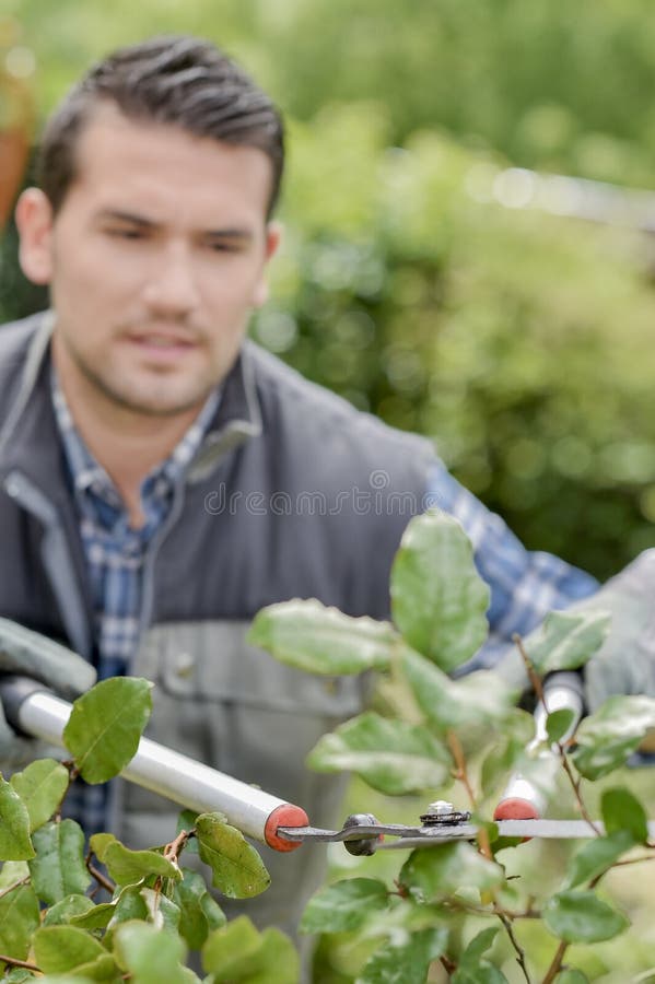 Male Worker Gardener at Work Stock Photo - Image of caucasian, portrait ...