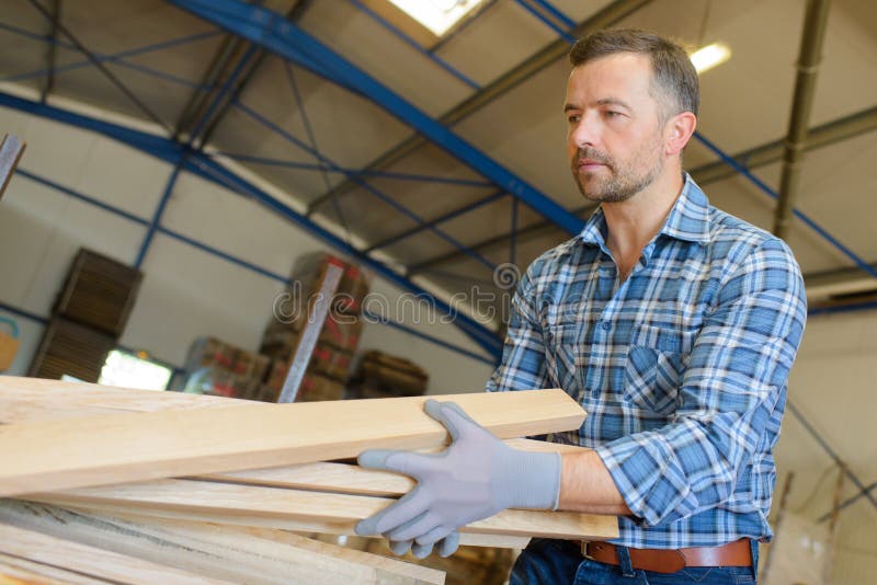 Male worker gathering wood stock photo. Image of wood - 153022278