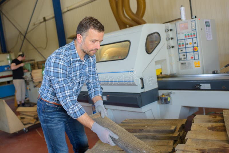 Male Worker at Industry Wood Processing Stock Image - Image of ...
