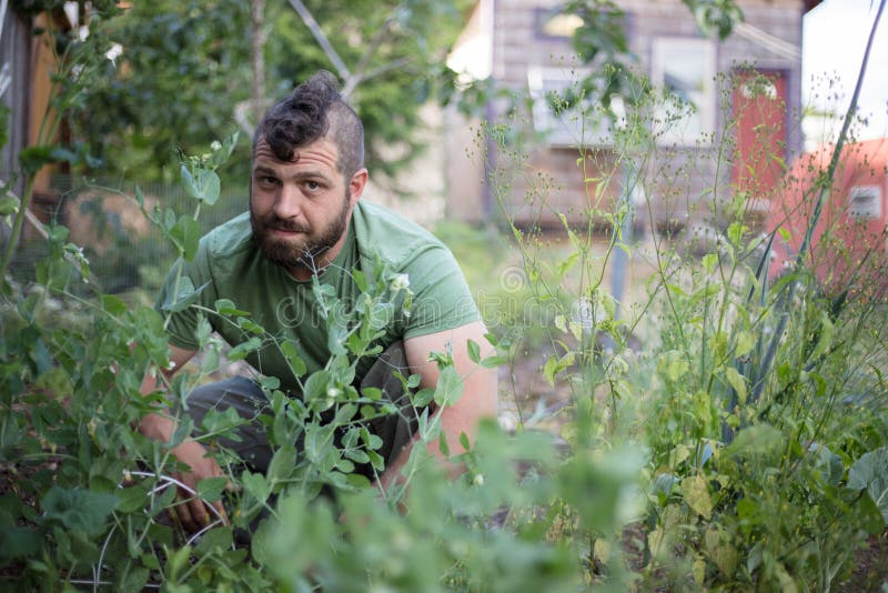 Male worker stock image. Image of forest, outdoors, people - 190586913