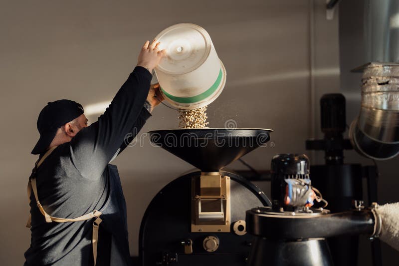 Male Worker Pouring Coffee Beans into Roasting Machine Stock Image ...