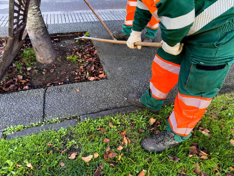 Male Workers Maintaining Urban Green Spaces with Tools Stock Photo ...