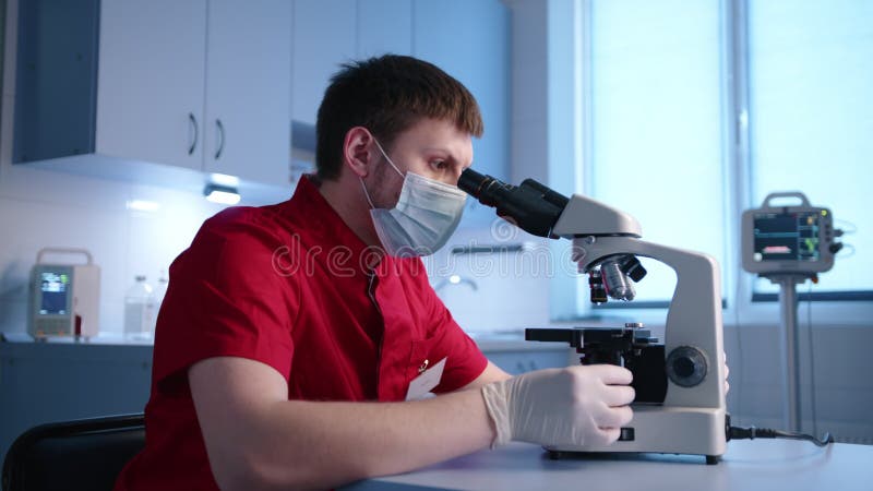 Male Young Vet Focused on Laboratory Research Using Binocular ...