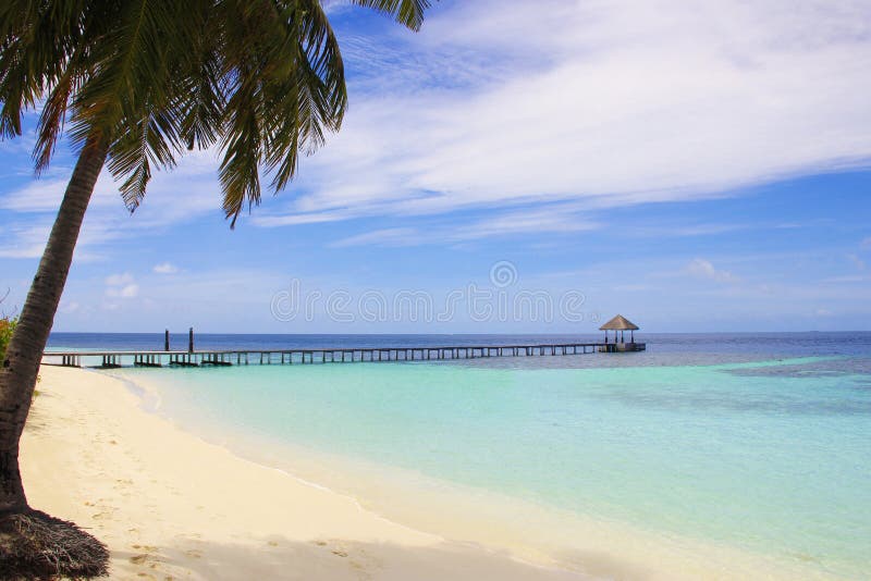 Malediven, Strand und Dock stockfoto. Bild von blau, anklagebank - 93158692