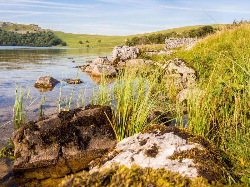 Malham tarn stock image. Image of summer, tarn, reeds - 77600087