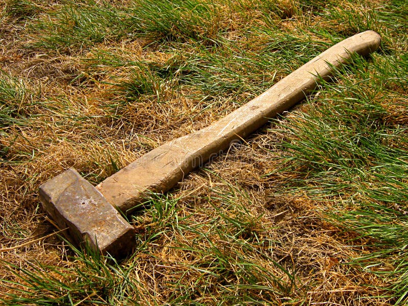 Malho na grama murcho imagem de stock. Imagem de macro - 65467085