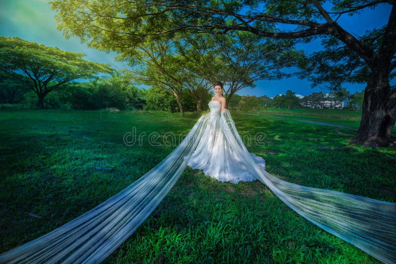 Mali stock photo. Image of model, adult, forest, dress - 79138418