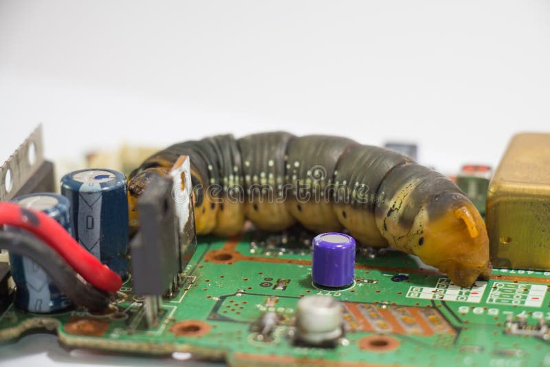 Computer Worm stock photo. Image of letters, faded, keys - 75222