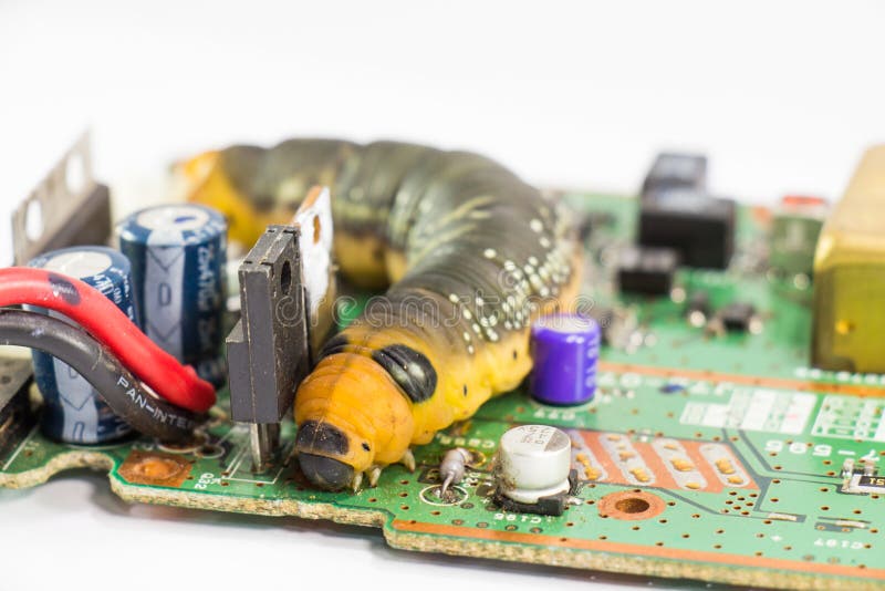 Malicious computer worm stock photo. Image of details - 43918268