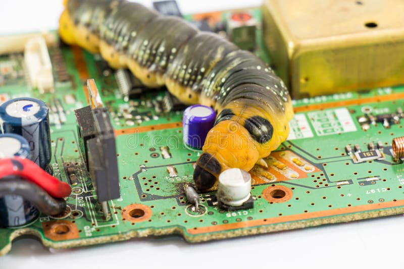 Malicious computer worm stock image. Image of creature - 43918285