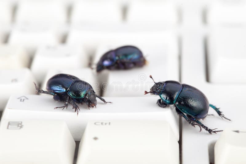 Bugs on a computer chip stock image. Image of debugging - 101961943
