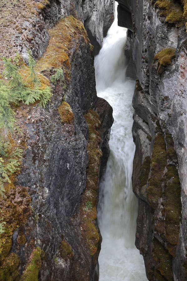 Maligne Canyon Jasper National Park Alberta Canada in Summer Stock ...