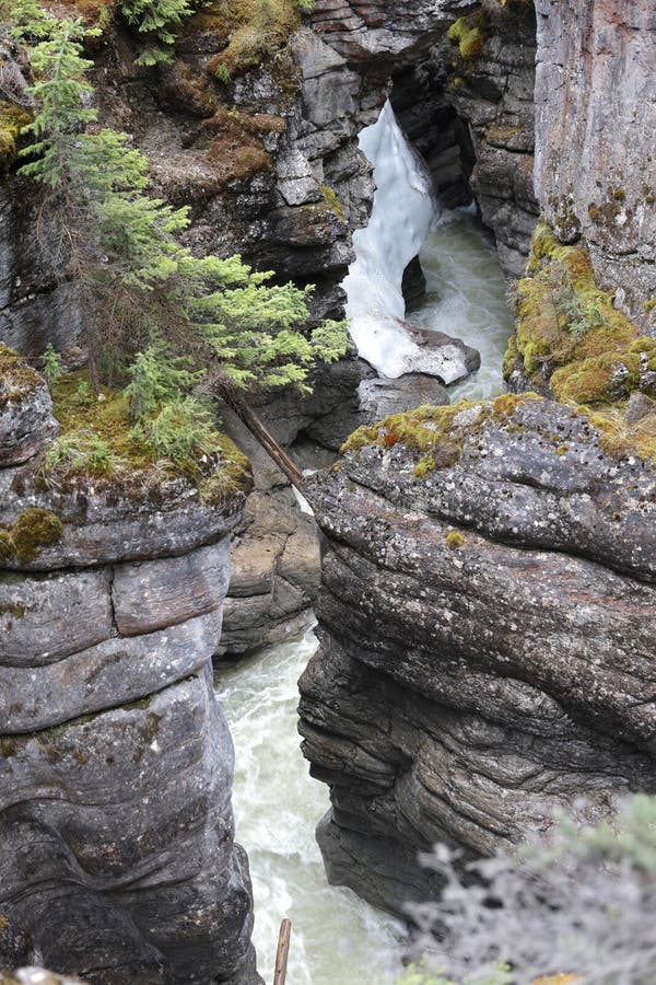 Maligne Canyon Jasper National Park Alberta Canada in Summer Stock ...