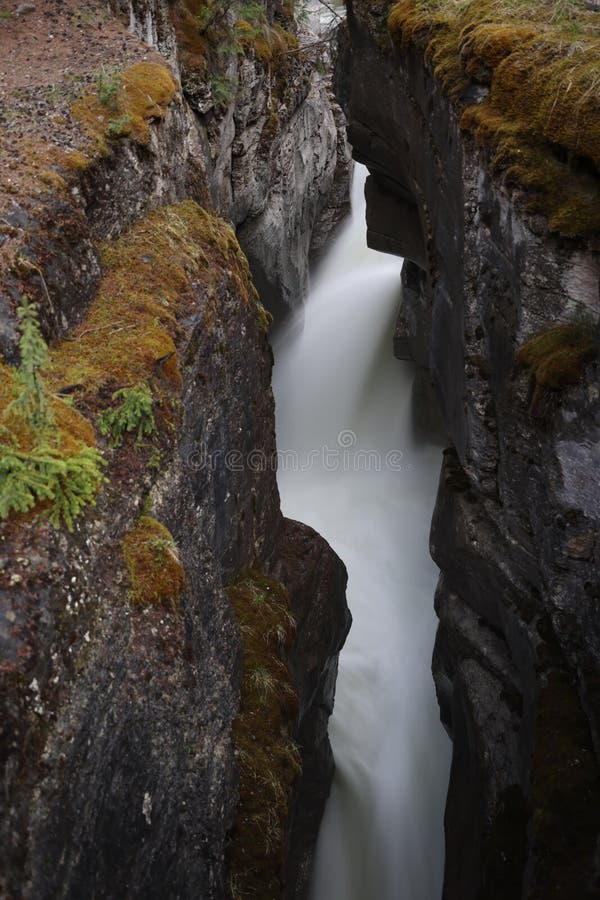 Maligne Canyon Jasper National Park Alberta Canada in Summer Stock ...