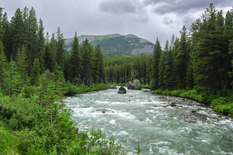 Maligne River, Jasper National Park, Canada Stock Photo - Image of ...