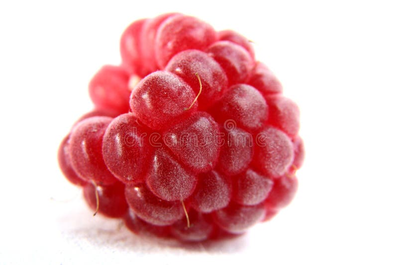 Malina zdjęcie stock. Obraz złożonej z dietetyczka, kuchnia - 2915886