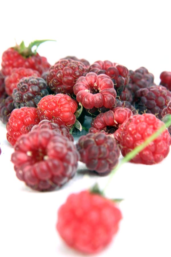 Malina zdjęcie stock. Obraz złożonej z dietetyczka, kuchnia - 2915886