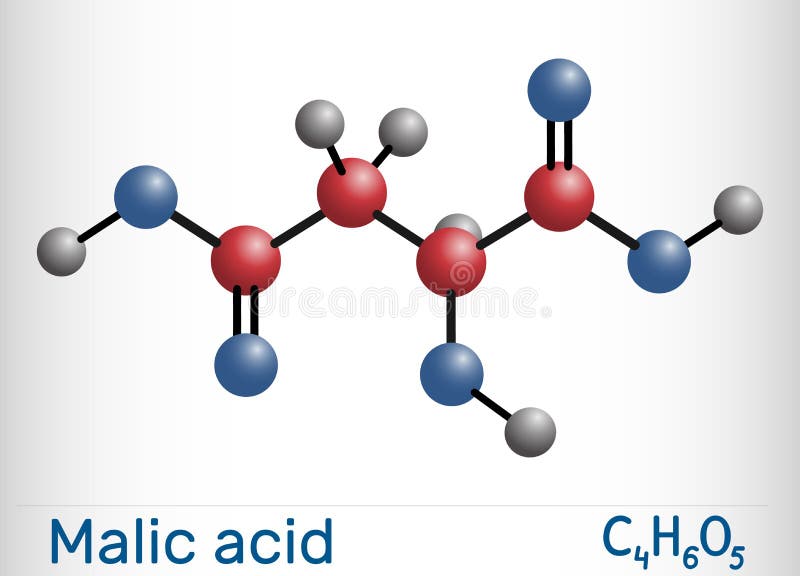 Melkzuur C4H6O5 Molecuul is Dicarbonzuur Structurele Chemische Formule ...