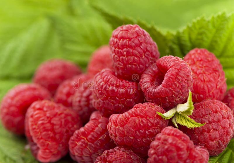 Malina zdjęcie stock. Obraz złożonej z czerwień, biały - 25780764