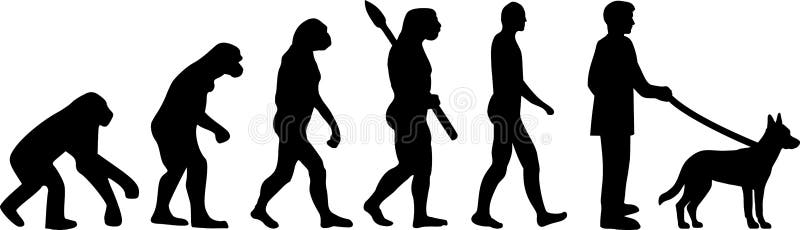 Malinois Evolution Silhouette Stock Vector - Illustration of vector ...