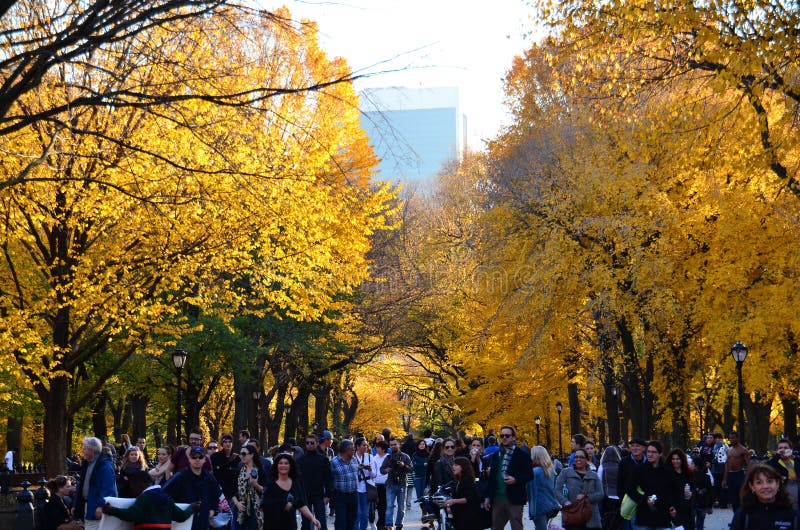 The Mall in Fall editorial stock photo. Image of perspective - 22015703