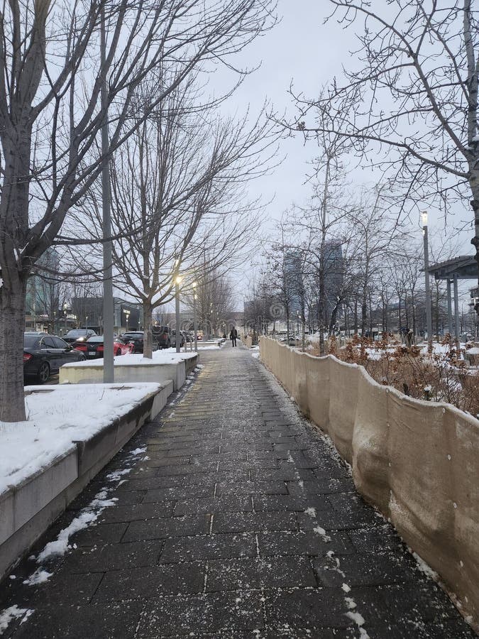 Mall Side Trail Pathway stock image. Image of plant - 356955625