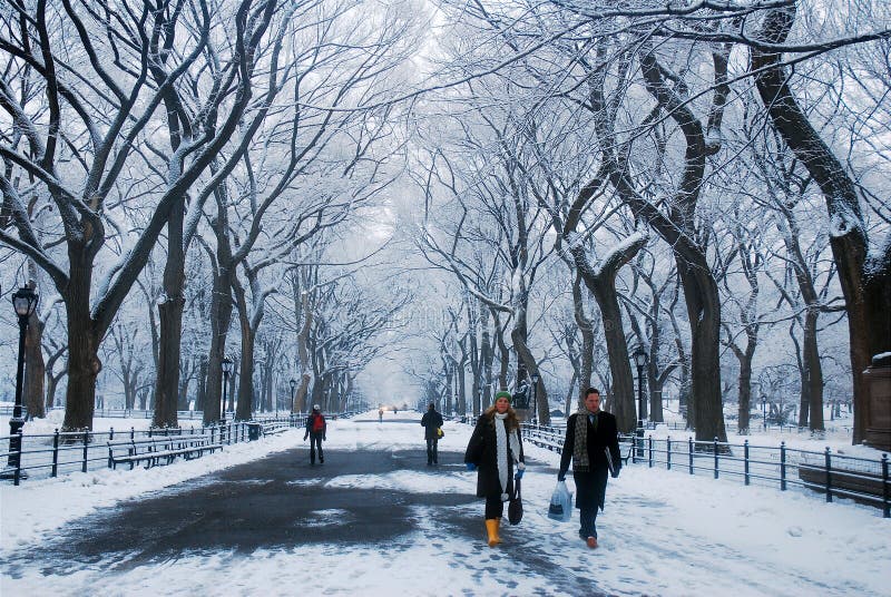 The Central PArk Mall in Winter Editorial Photo - Image of eastern ...