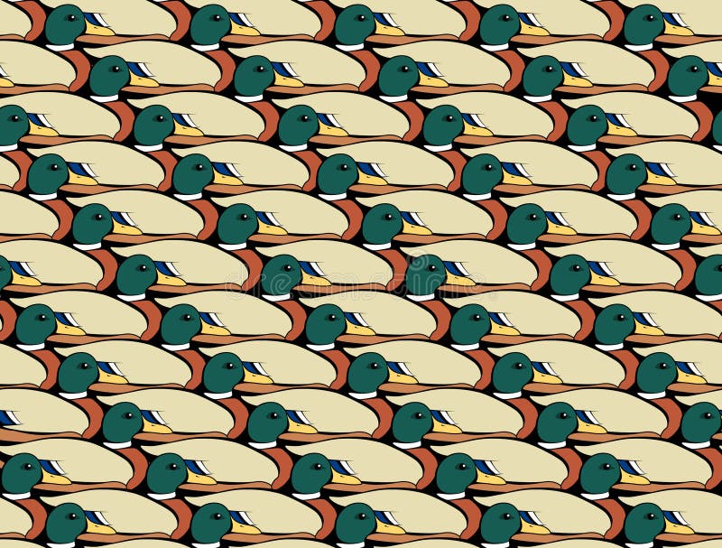 Mallard Duck Collage illustration stock. Illustration du flux - 39234591