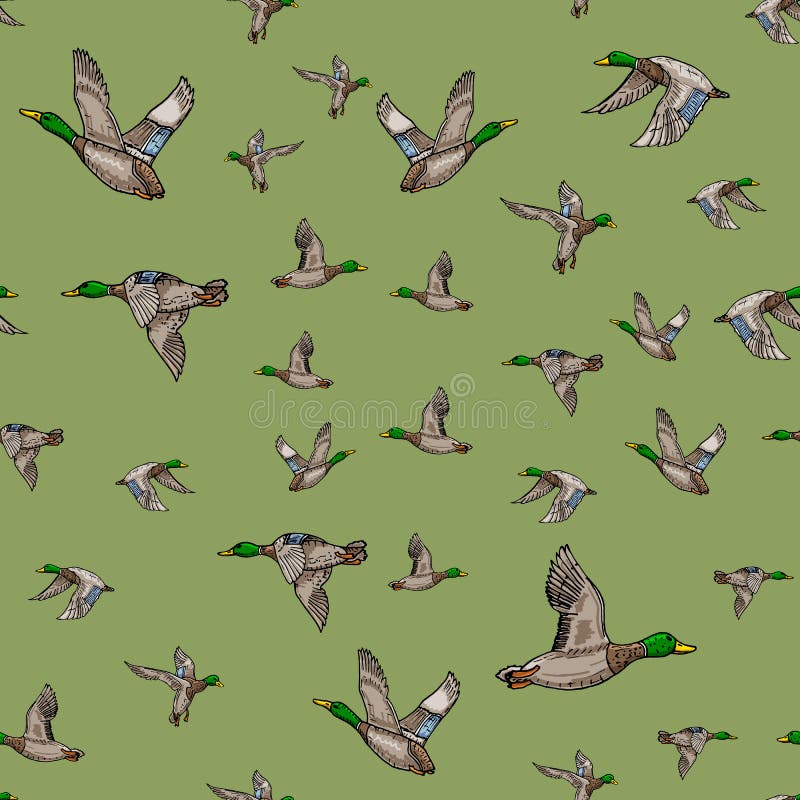 Mallard Seamless Pattern Stock Illustrations – 154 Mallard Seamless ...