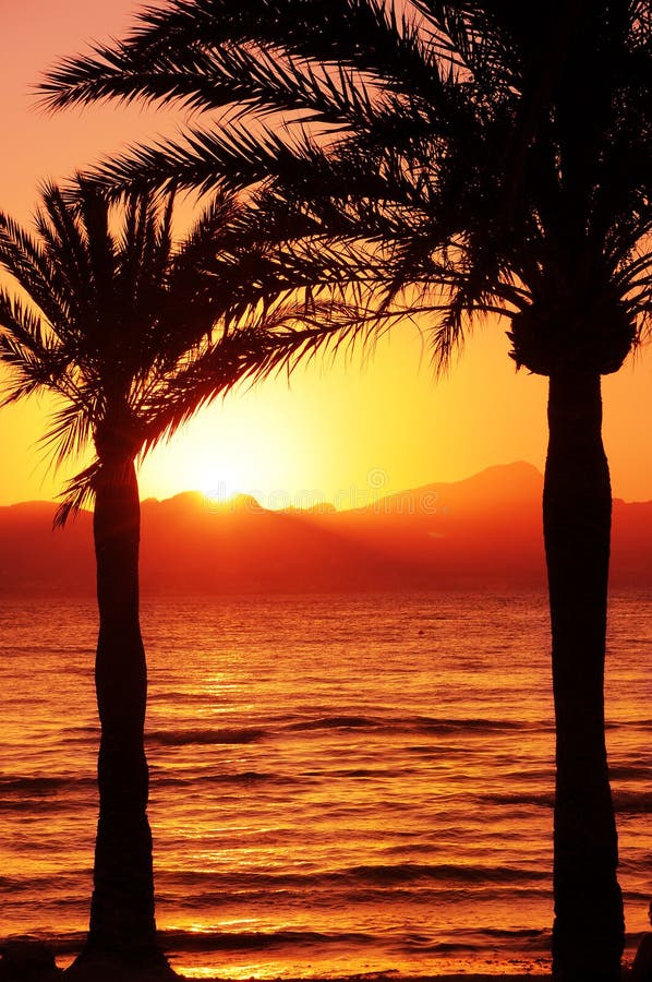 Mallorca Sunset stock image. Image of nature, blue, soller - 21045851
