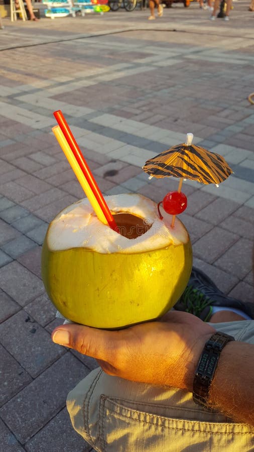 Mallory Square Coconuts stock image. Image of vacation - 100412925