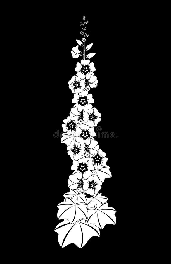 Mallow flower. Vector stock vector. Illustration of flower - 73658775