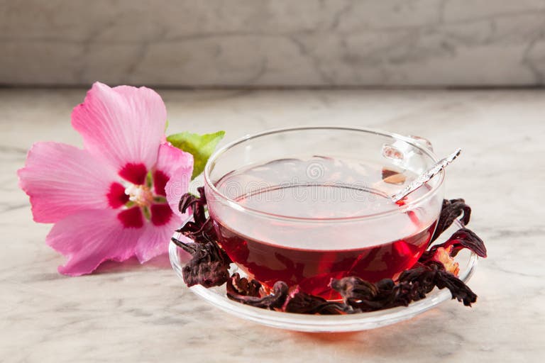 Mallow tea stock image. Image of drink, petals, oriental - 61164397