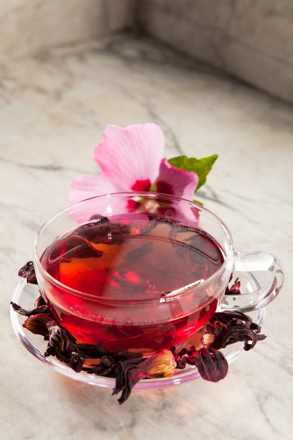 Mallow tea stock image. Image of fruit, blossoms, enjoyment - 61164405