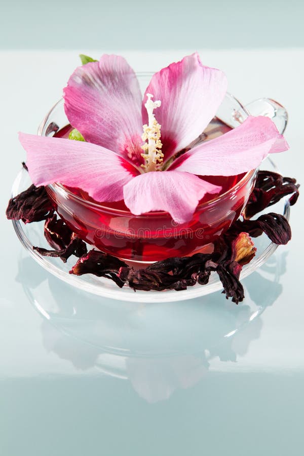 Mallow tea stock image. Image of plant, mallow, vintage - 61164537