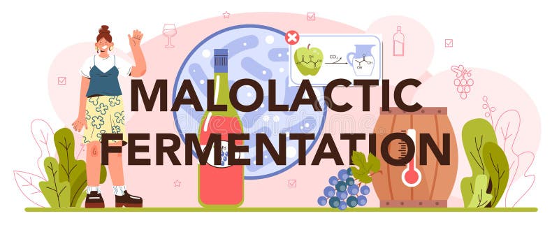 Malolactic Fermentation Typographic Header. Wine Production Stock ...
